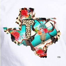 DTF-289 Retro Vintage Texas Skull
