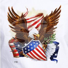American Eagle Shield 10 x 10 Inches