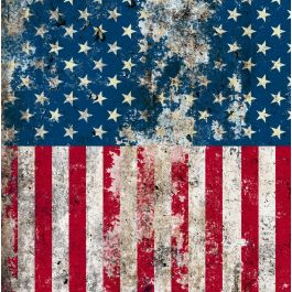 American Flag Broken Vinyl