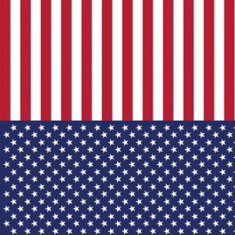 American Flag Sign Vinyl